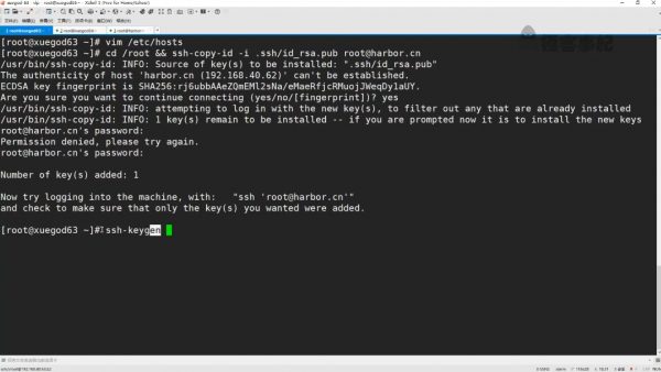 Docker（K8S）容器架构师 中级+高级 视频教程(87G) - VIPC6资源网